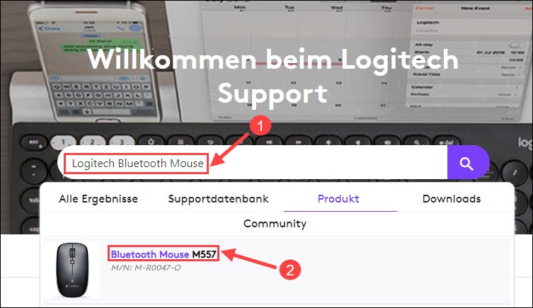 Logitech Maus-Treiber für Windows 11, 10, 7, 8.1 - Driver Easy German